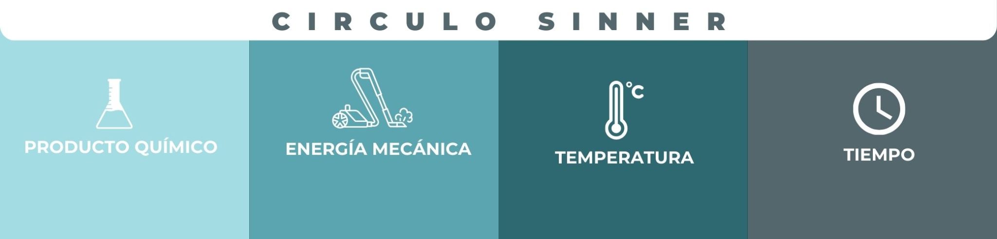 El círculo de Sinner: La clave para una limpieza eficaz | Plazy